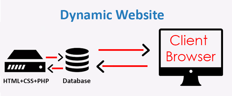 Static vs Dynamic Website Design